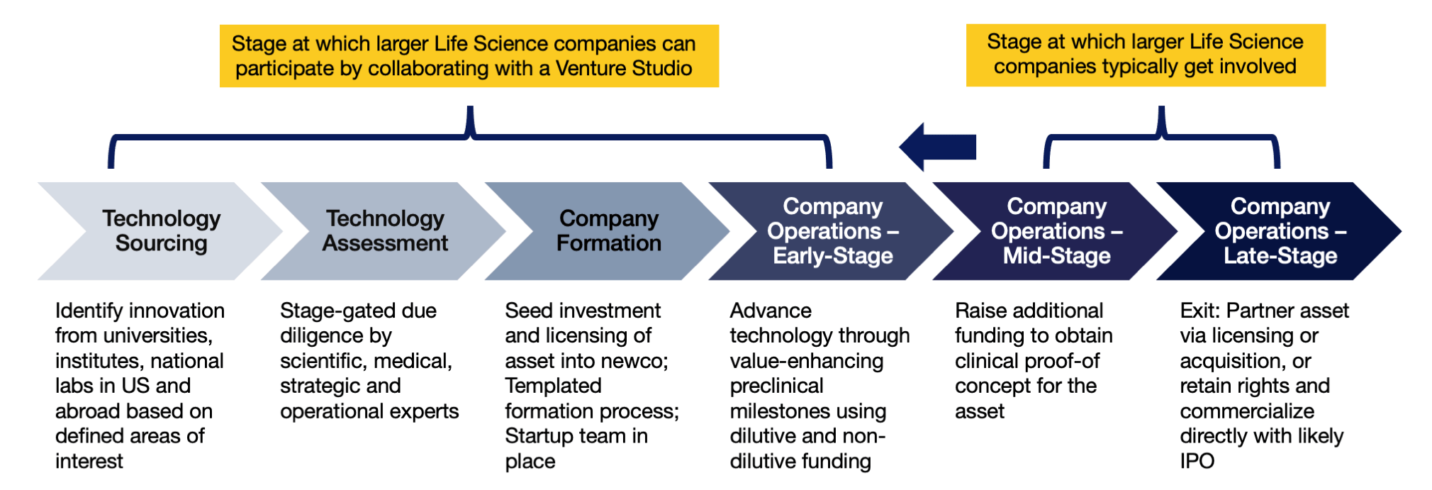 Maximizing Synergies Between Venture Studios and Life Science Companies