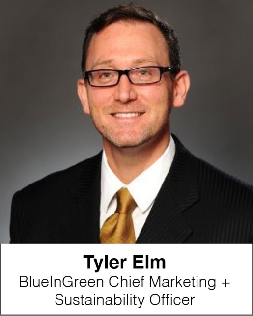 Sustainability as Strategy: A Discussion with BlueInGreen